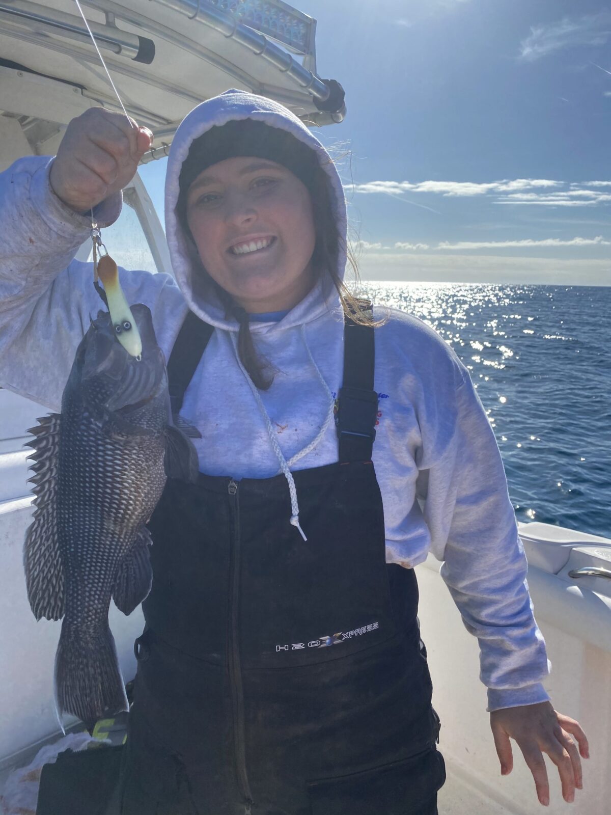 Gallery - Blue Water Candy Lures