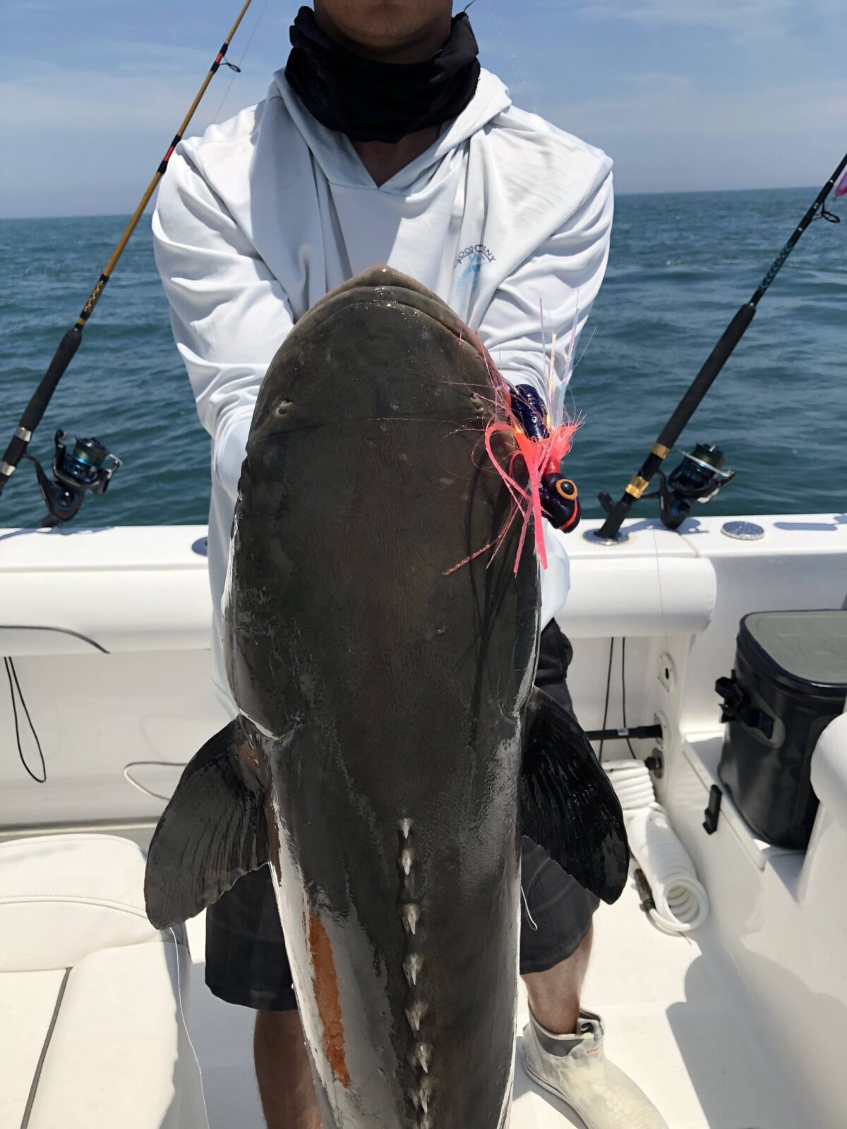 Gallery - Blue Water Candy Lures