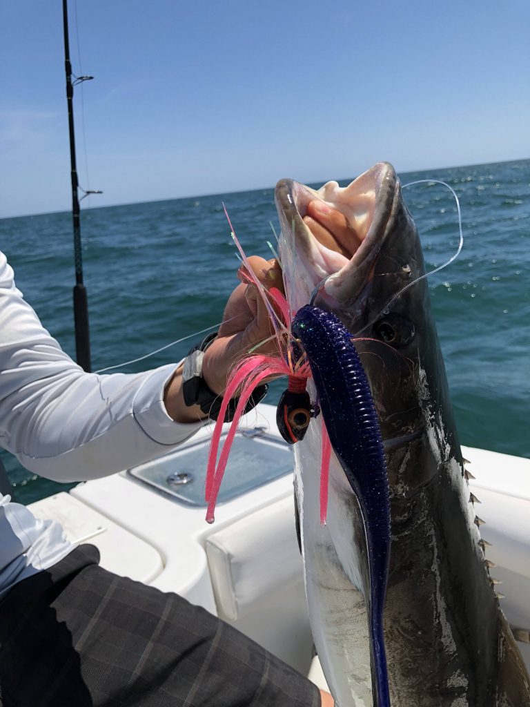 Gallery - Blue Water Candy Lures